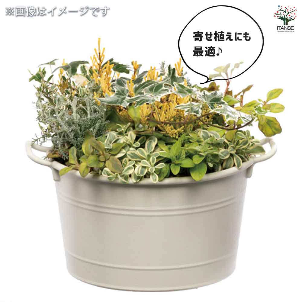 コージーバスケット アイボリー・ブラウン・グレー 【資材 20型】｜ 【植物のITANSE】全品送料無料・即出荷!