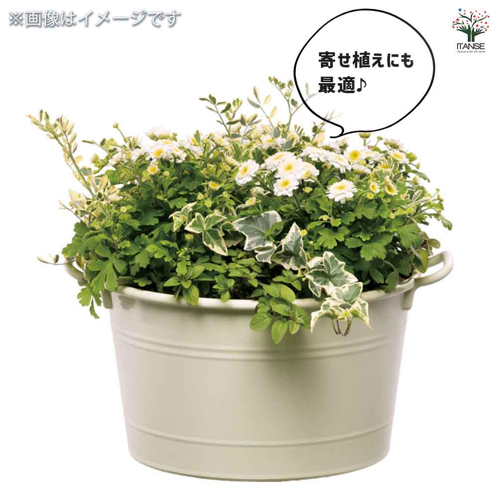 コージーバスケット アイボリー 【資材 25型&花と野菜の培養土 ふかふか仕立て5L】｜ 【植物のITANSE】全品送料無料・即出荷!