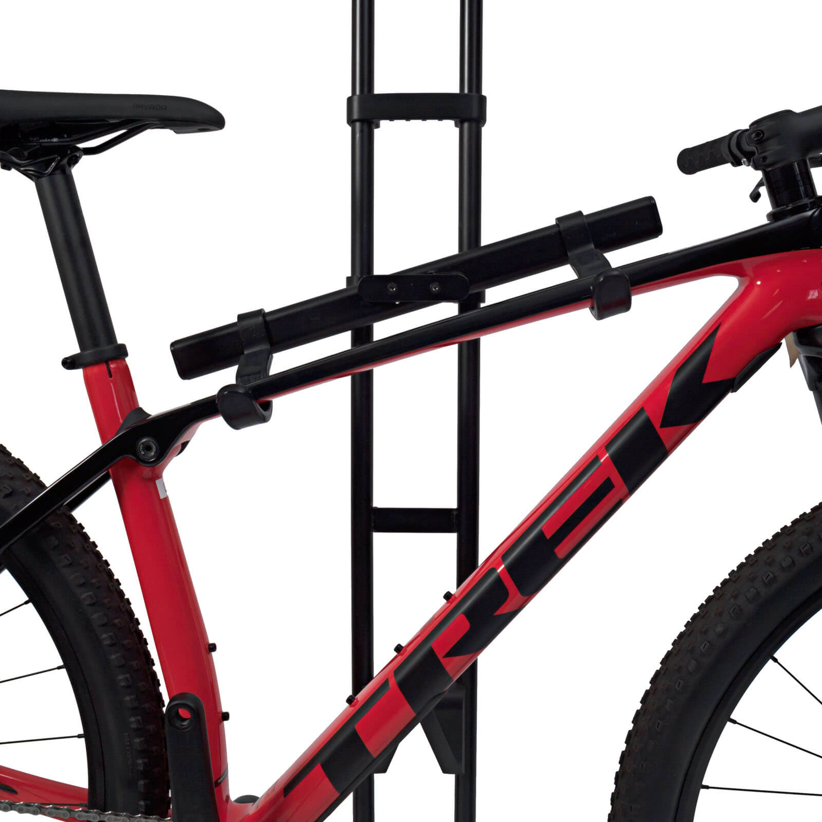 iWA TOWER_EN ディスプレイ｜iWA