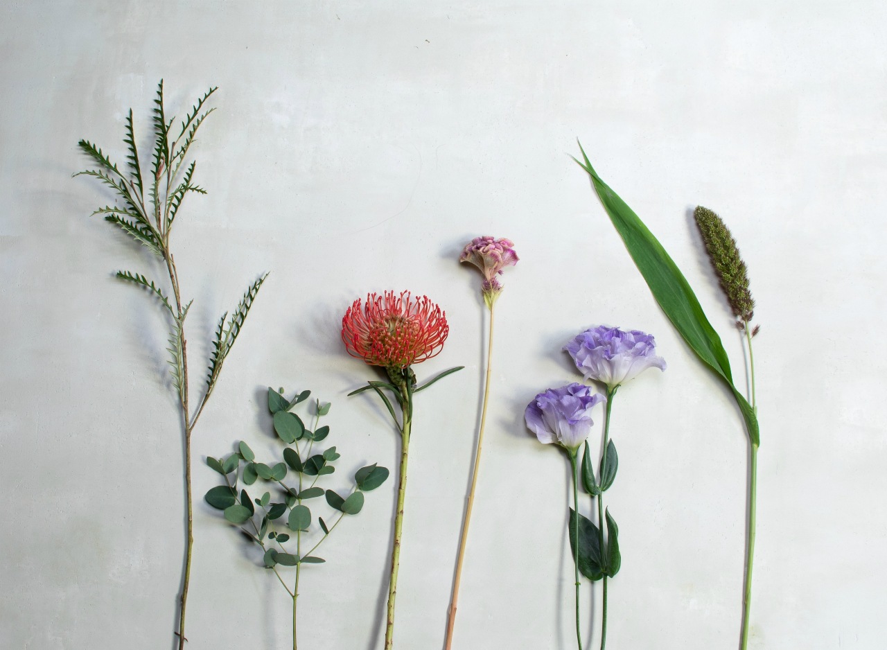 DC-021 トルコキキョウのオータムブーケ | 2022年JFNカレンダー企画 | 花家族おくりもん