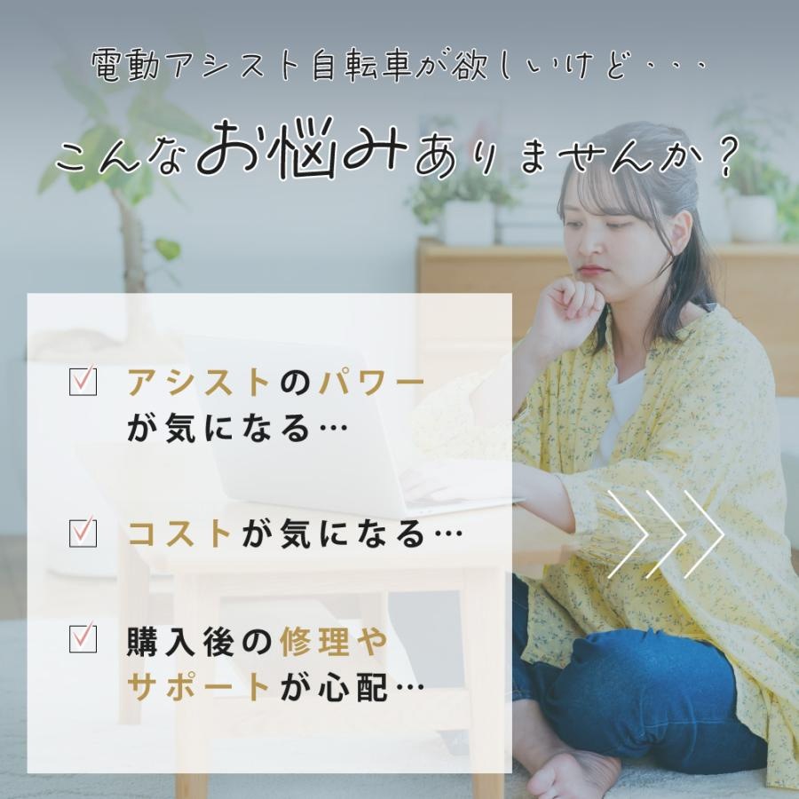 PELTECH ペルテック 電動自転車 折り畳み TDN-206L 20インチ 8Ah | おしゃれな電動自転車を格安で販売 - 自転車館