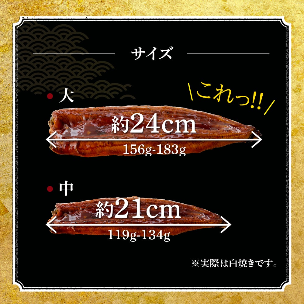 愛知三河産 超絶うなぎ白焼（156g-183g）×大2尾 | すべての商品 | 【国産うなぎの通販・ギフト】五代目監修 蒲焼本舗