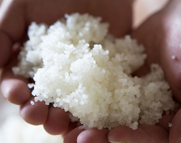 「あまざけ」190g 12缶セット┃上川大雪酒造公式オンラインショップ