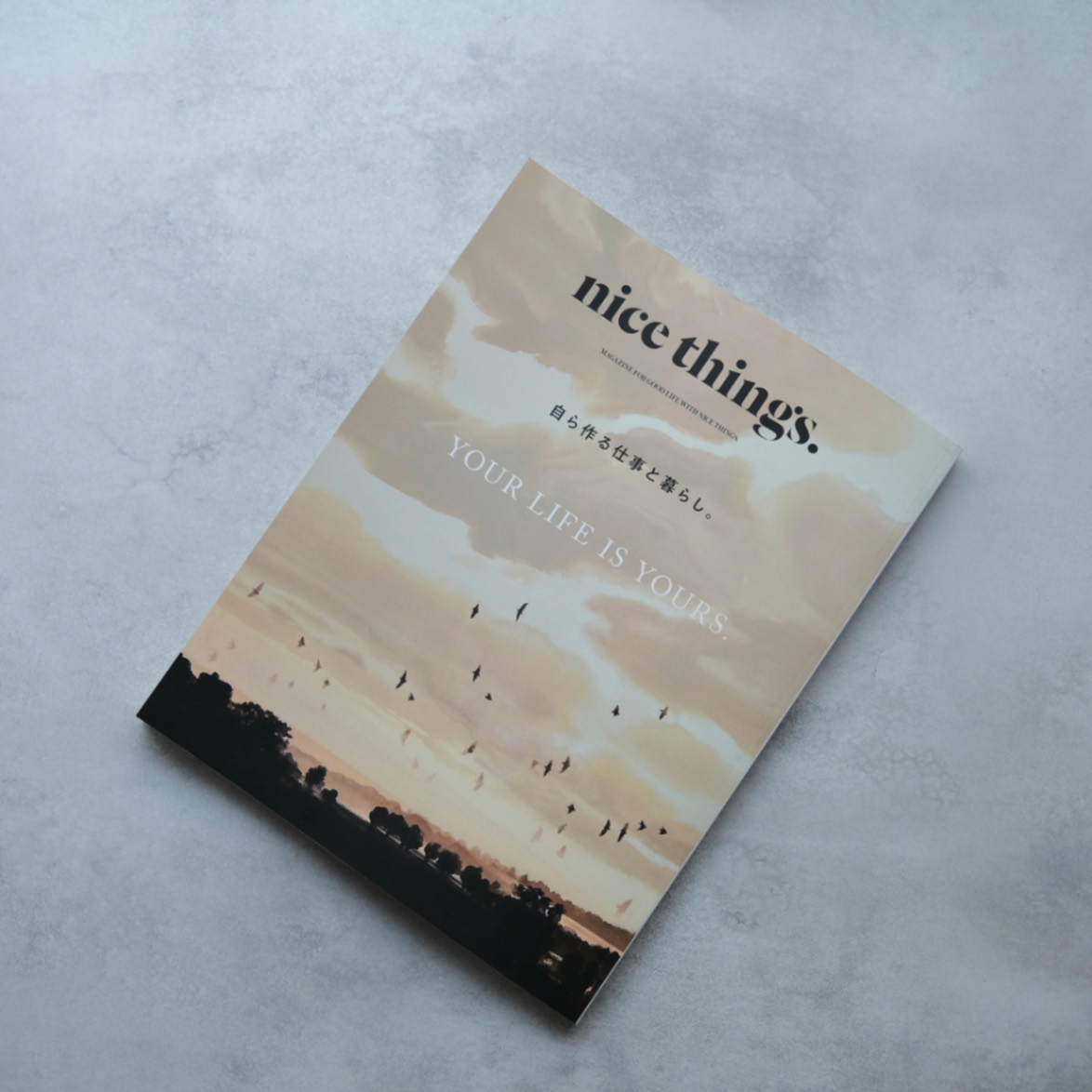 nice things. Issue 78｜恵文社一乗寺店 オンラインショップ