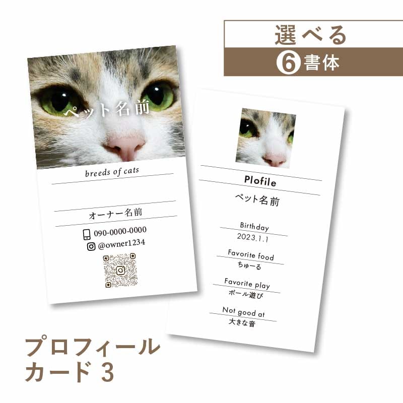 写真やQRコードが入れられる _ プロフィールカード3