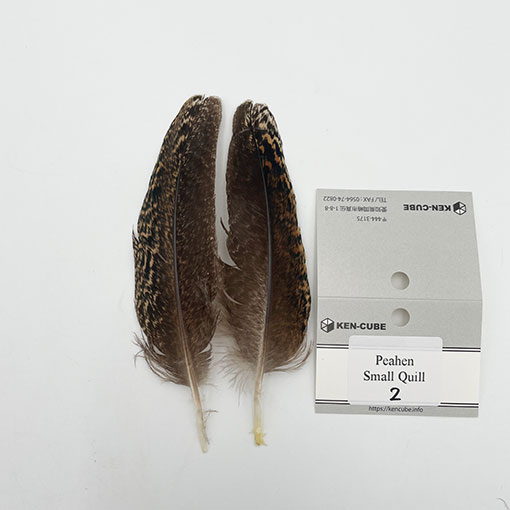 KEN-CUBE ピーヘンスモールクイル