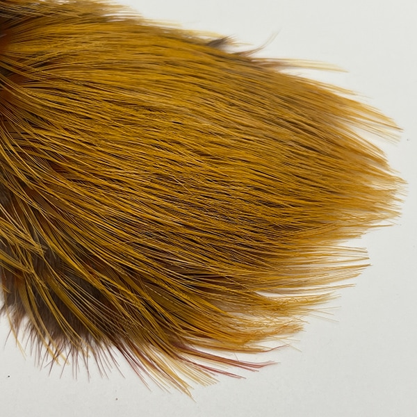 CANAL社 ゴールデンフェザント イエローランプ [CNYR]