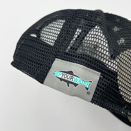 Rep Your Water Colorado Mountain Brown Hat