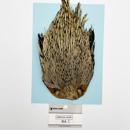 KEN-CUBE社 インディアンケープ グレードSA バジャー