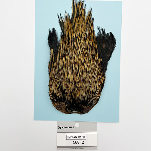 KEN-CUBE社 インディアンケープ グレードSA バジャー