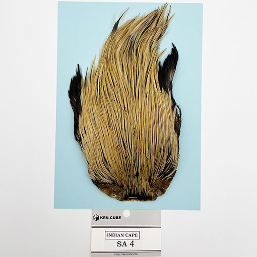 KEN-CUBE社 インディアンケープ グレードSA バジャー