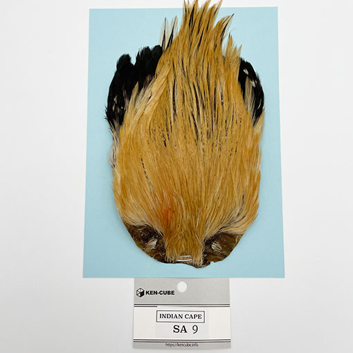 KEN-CUBE社 インディアンケープ グレードSA ジンジャー