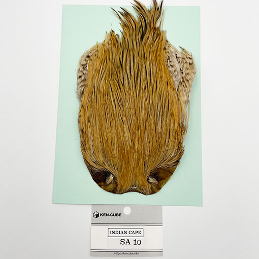 KEN-CUBE社 インディアンケープ グレードSA ジンジャー