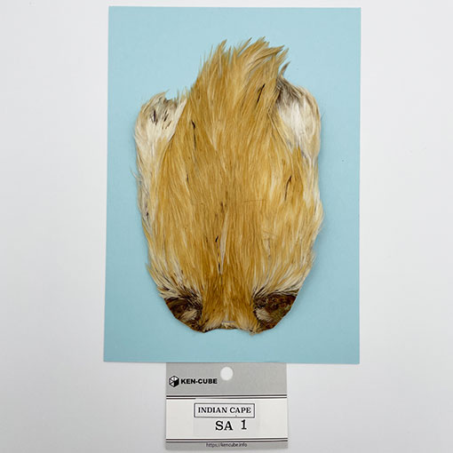 KEN-CUBE社 インディアンケープ グレードSA ジンジャー