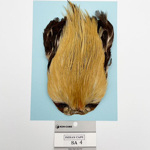 KEN-CUBE社 インディアンケープ グレードSA ジンジャー