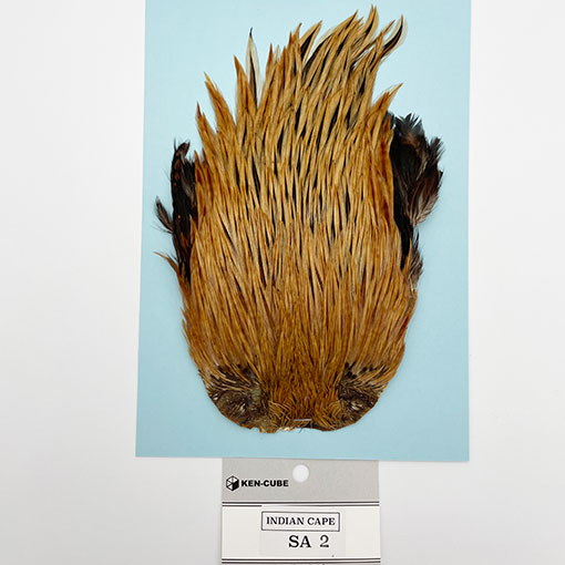 KEN-CUBE社 インディアンケープ グレードSA バリアント