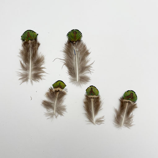 Ken-Cube ピーコック ゴールドバック 4gパック