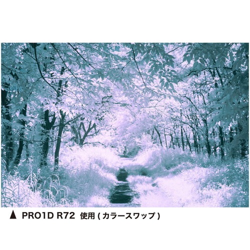 【10%OFFクーポン対象】【即配】 72mm PRO1D R72 N フィルター ケンコー KENKO 撮影用フィルター【ネコポス便送料無料】 | レンズフィルター,ケンコー フィルター ...