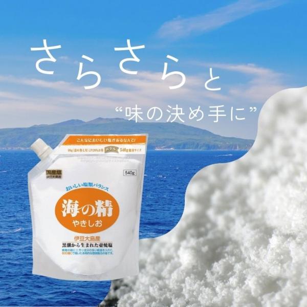 海の精 やきしお スタンドパック 540g 1袋 お塩 塩 天日塩 伊豆大島産海水100% 壷焼製法 焼塩 ミネラル 天日 天然塩｜keyroom本店｜公式通販サイト