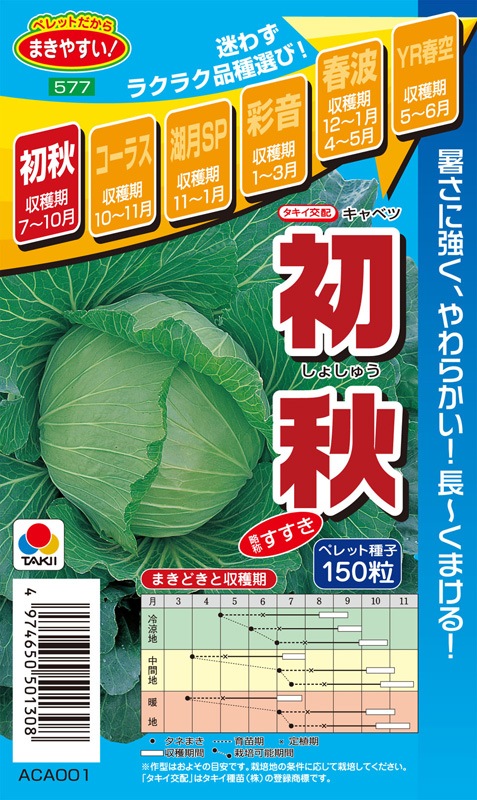 タキイ種苗 キャベツ種子 初秋[ACA001]【取り寄せ注文】＊種子有効期限2026年4月末 | 葉菜類,キャベツ | | 小林種苗株式会社