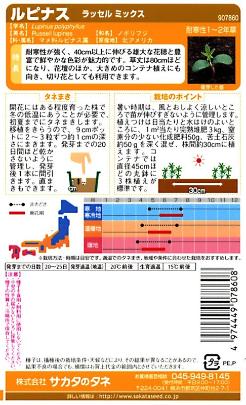 サカタのタネ 実咲200 ルピナス ラッセルミックス 小袋[907860]【取り寄せ注文】 | 草花種子（小袋）,ルピナス | | 小林種苗株式会社