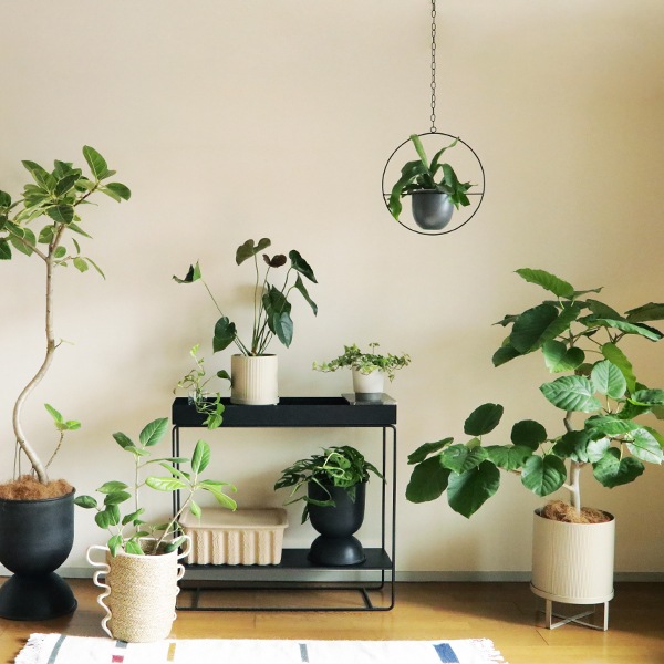 SPICE (スパイス) アイアンフレームハンギングポット ラウンド プラントポット/植木鉢/鉢カバー/ガーデン雑貨|SPICE - アイアンフレームハンギングポット |北欧雑貨＆インテリアの ...