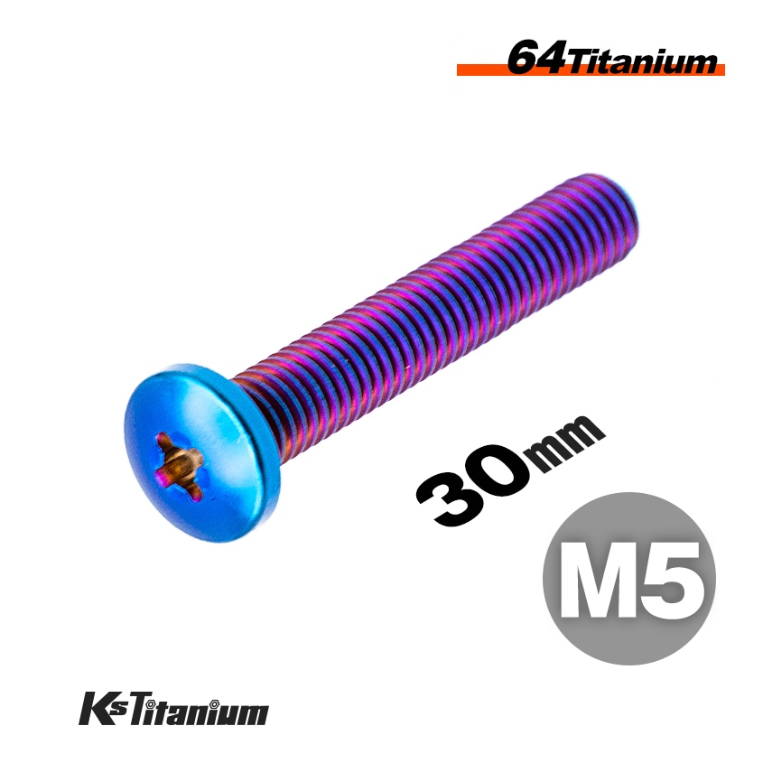 チタン製 バインドヘッドボルト M5×30 P0.8 【焼き色】 | チタンボルト | Ksgarage