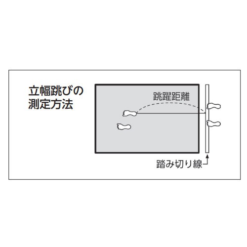 立ち幅跳び測定マット エバニュー 幅100×長さ350cm PVCフォーム 立ち