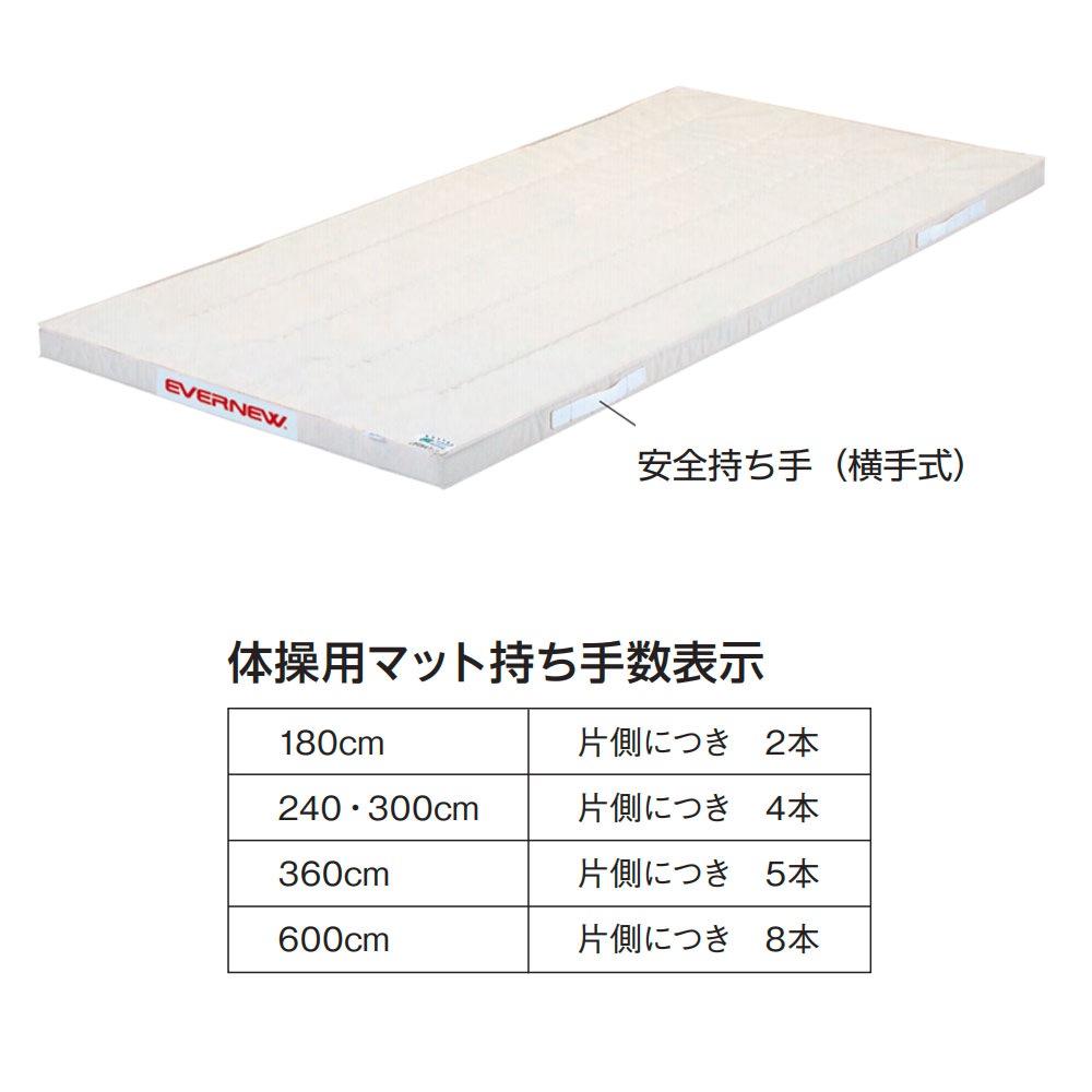 エバニュー EVERNEW エコ・カラーマット 120×240×5cm 送料無料 EKM002