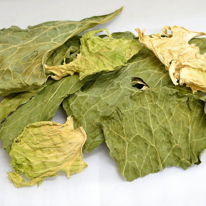 NPF スペシャリーフ キャベツ 20g | うさぎ専門店ラッキーハート- うさぎ専門店ラッキーハート