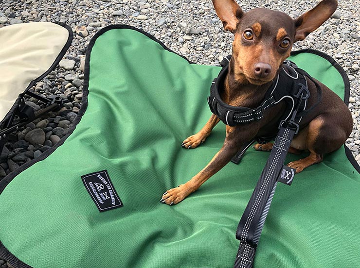 【送料無料】 5050WORKSHOP フィフティフィフティワークショップ withPET ANML COTT アニマルコット ドッグコット キャンプ Mサイズ TR017-5PT [FB ...