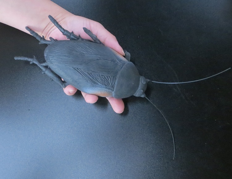 Super Jumbo Roach/ジャンボ・ゴキブリ | ジョーク・コメディ | マジックショップ マジックファンタジア