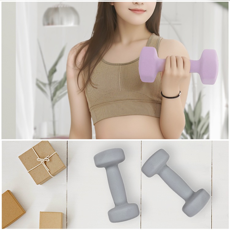 カラーダンベル 3kg 2個セット de096