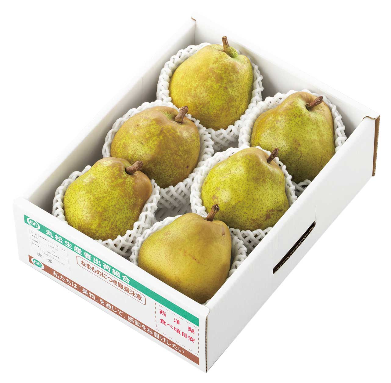 【丸松プレミアム】上山産大玉棚作り「ラ・フランス」2kg（5～6玉）4L-5L