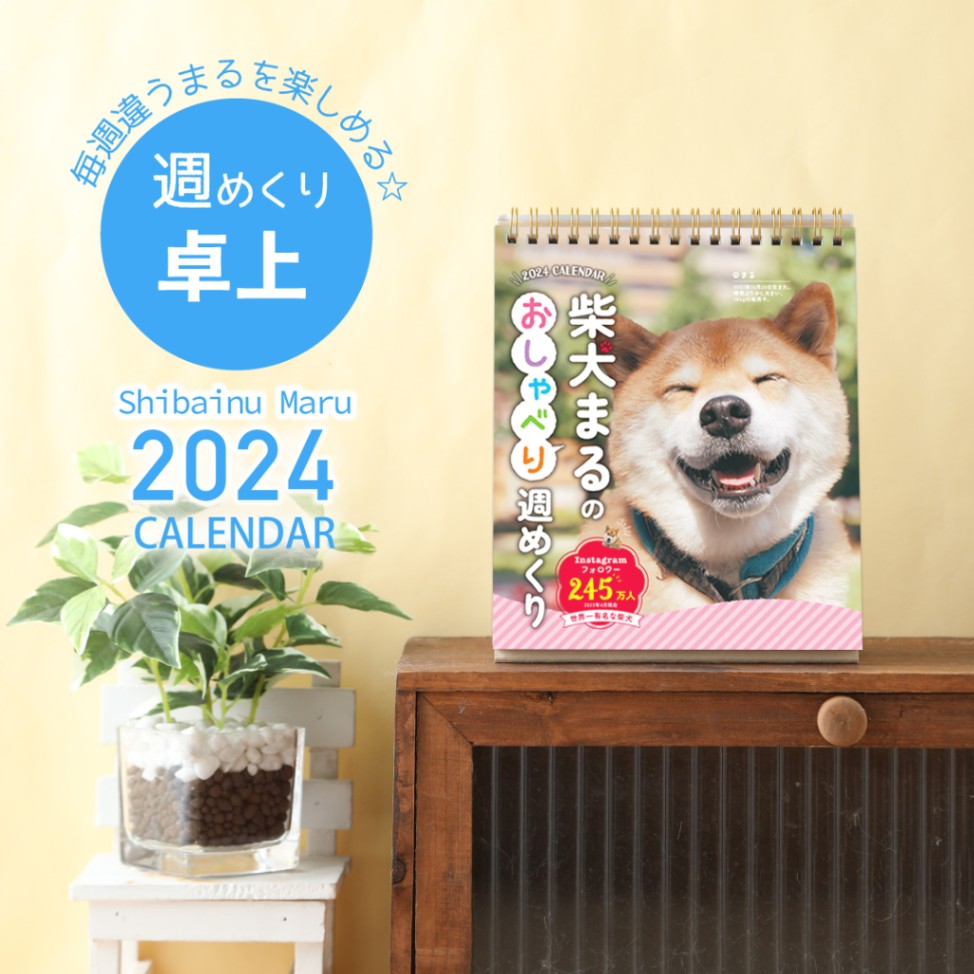 【OUTLET】【卓上 週めくりカレンダー 】柴犬まるのおしゃべり週めくり2024|柴犬まるグッズ公式通販【marutaro.shop】
