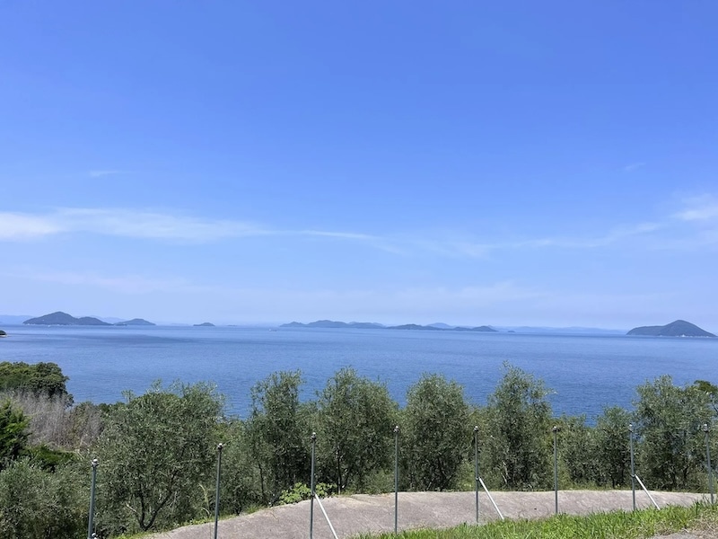 国産100％！農薬不使用の荘内半島のエキストラバージンオリーブオイル（Lucca種）137g