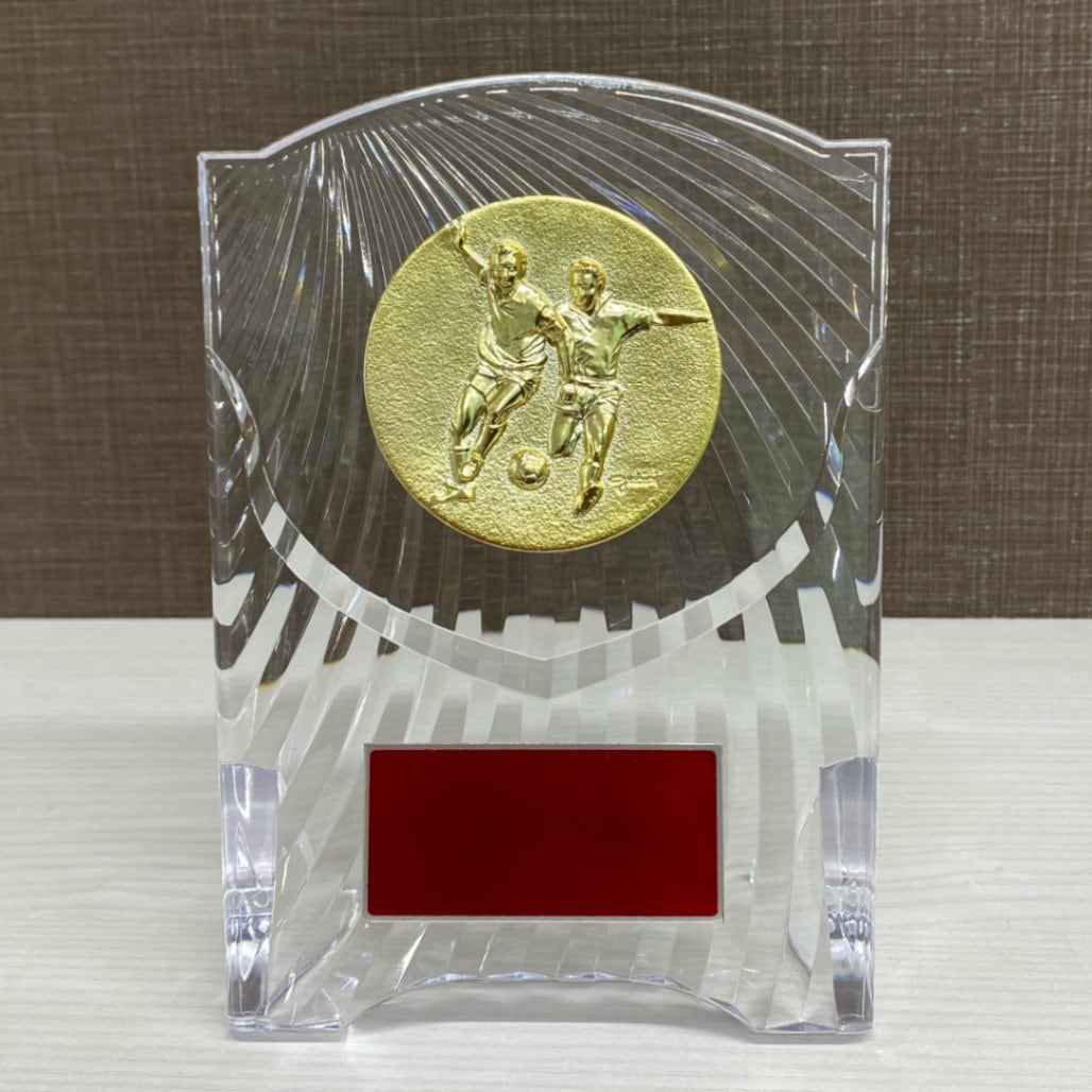 楯(高さ16cm×幅12cm) MS696-32 | 楯 | トロフィー・記念品のMINT【直営店】