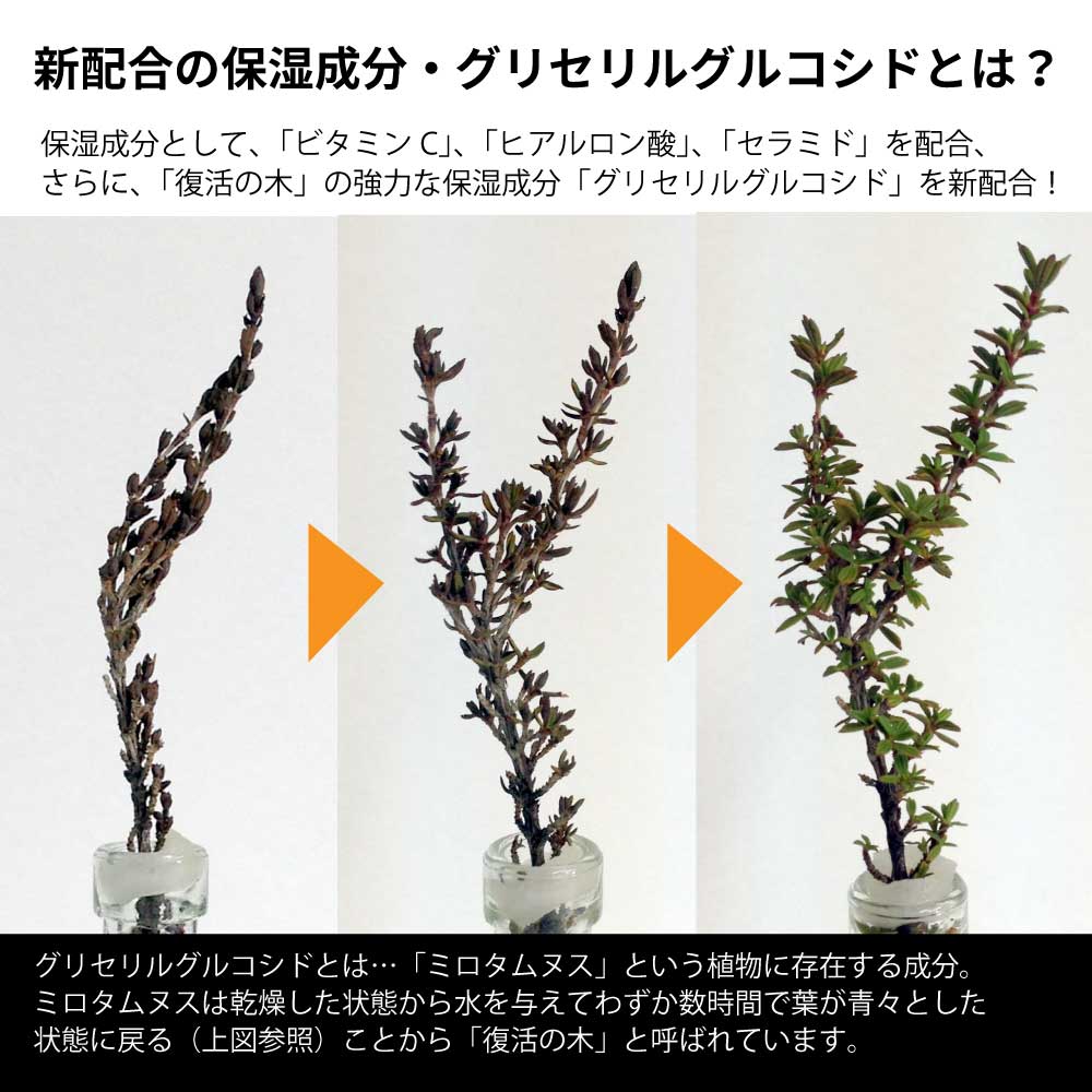 おぷろ ボディソープ Ⅱ BS-SP800 ｜ 無添加で塩素バリアも｜水生活製作所公式通販