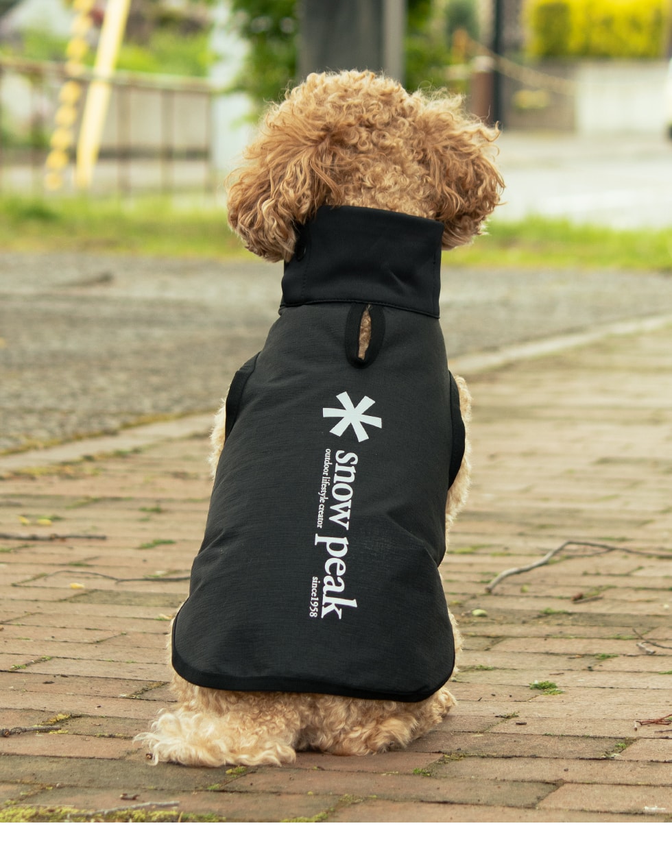 Snow Peak(スノーピーク)SP DOG COOLING VEST(SP ドッグ クーリング ベスト)犬用 散歩 アウトドア ドッグ ...