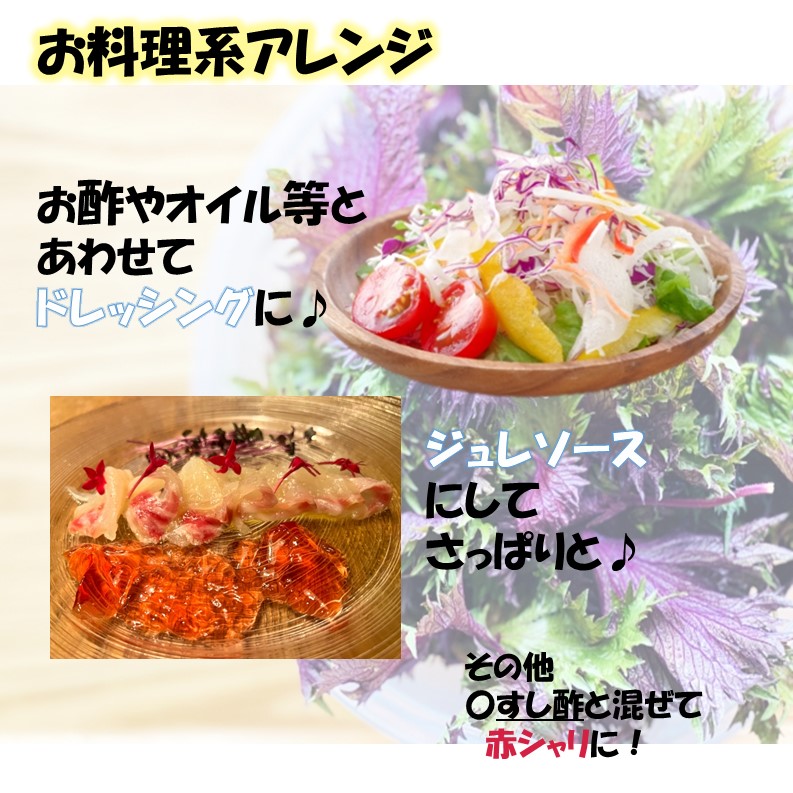 赤紫蘇シロップ 215g（約180ml）×5本セット【6倍希釈】長野県 八ヶ岳の麓 富士見町産｜自社栽培期間中農薬不使用栽培 薄めて赤紫蘇ジュースにも！ 濃縮シロップ 送料込（沖縄別途870円 ...