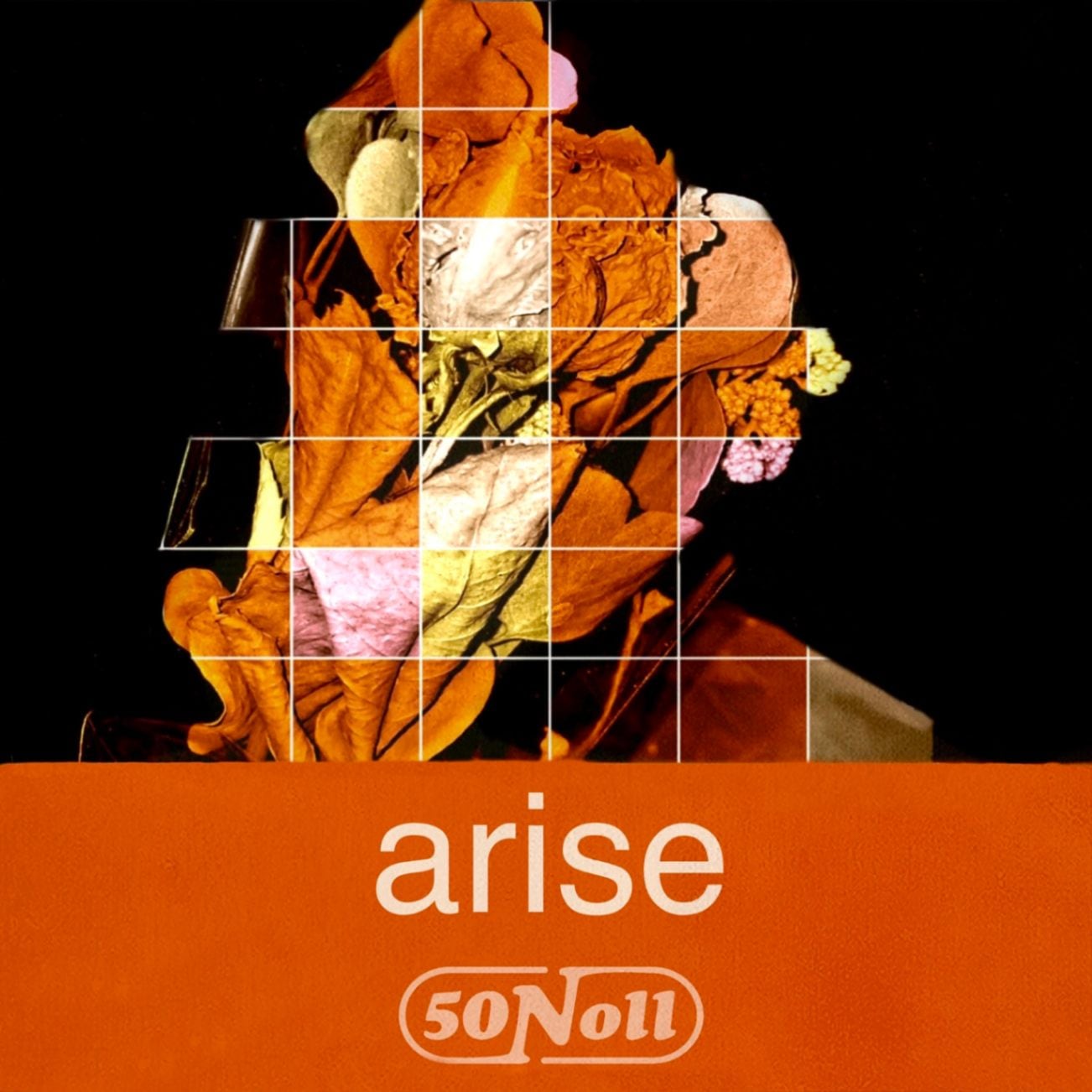 50Noll / arise | CD,日本,ギターロック / 歌モノ,新品 | ZOONET ONLINE SHOP｜ズーネット｜CD レコード通販