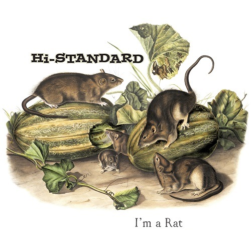 Hi-STANDARD / I'M a RAT 【RECORD】 | RECORD,MELOCORE / SKAPUNK / POPPUNK ...