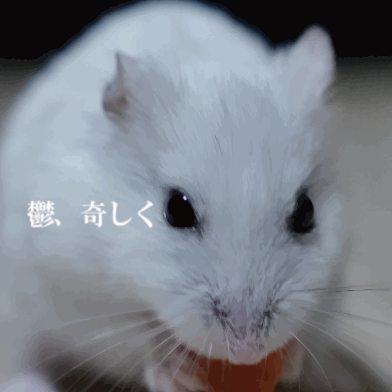 INC REASE /鬱、奇しく | CD,日本,ギターロック / 歌モノ,新品 | ZOONET ONLINE SHOP｜ズーネット｜CD レコード通販