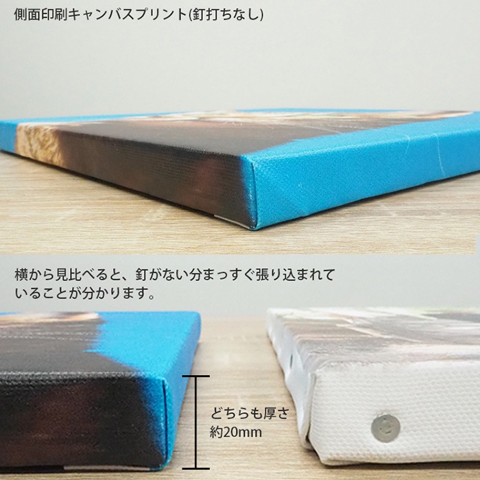 【送料無料】側面印刷キャンバスプリント 長方形・正方形タイプ（長方形：F3/F4/F6/F8/F10/F12/F15/F20 正方形：S3 ...