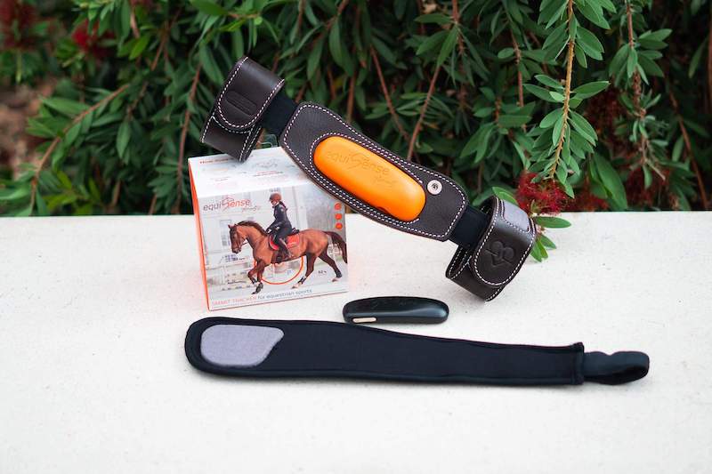 Equisense Motion S Pack｜乗馬用品なら中江物産通販サイト