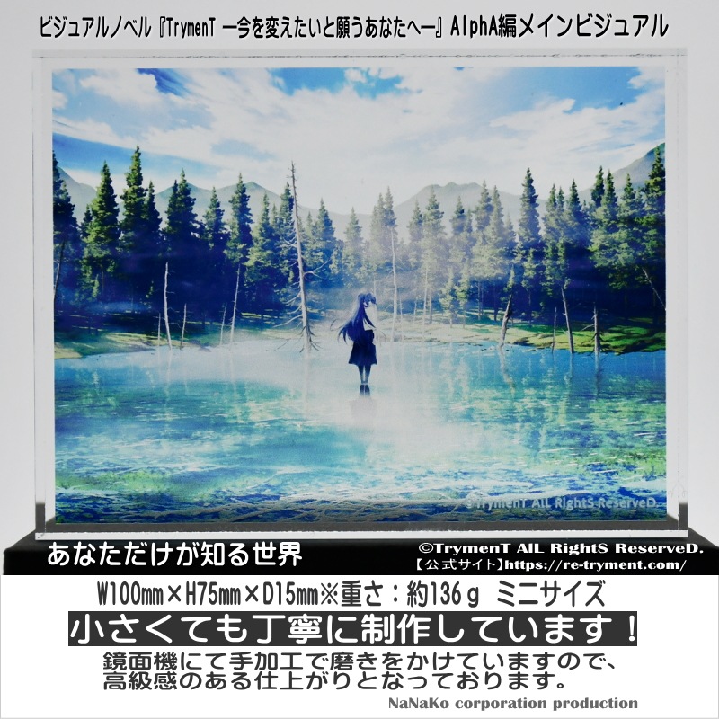 [TrymenT]あなただけが知る世界(S)