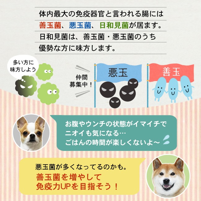 ネイティブドッグ プレミアムチキン 成犬用 6kg（3kg×2） 送料無料／一部地域は送料別 | ネイティブドッグ・プレミアムチキン「成犬用」 | Native Dog 本店