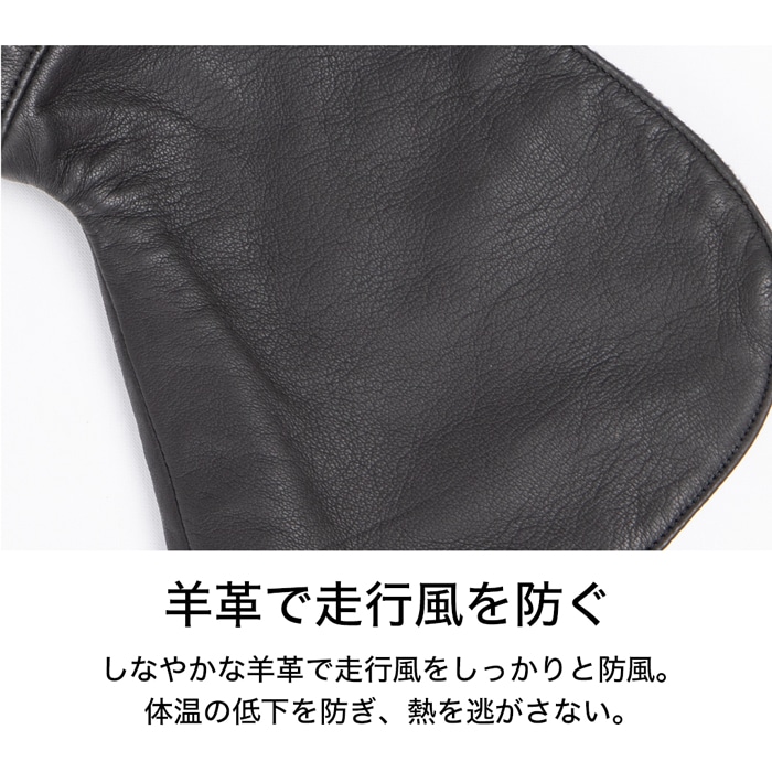 レザーマスク[CP-12A] | すべてのアイテム | デグナーオンライン | DEGNER