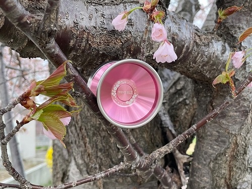 【5月2日20時発売】TESRACT SAKURA Edition | 日本のメーカー,ジャパンテクノロジー | | ヨーヨーショップネスト