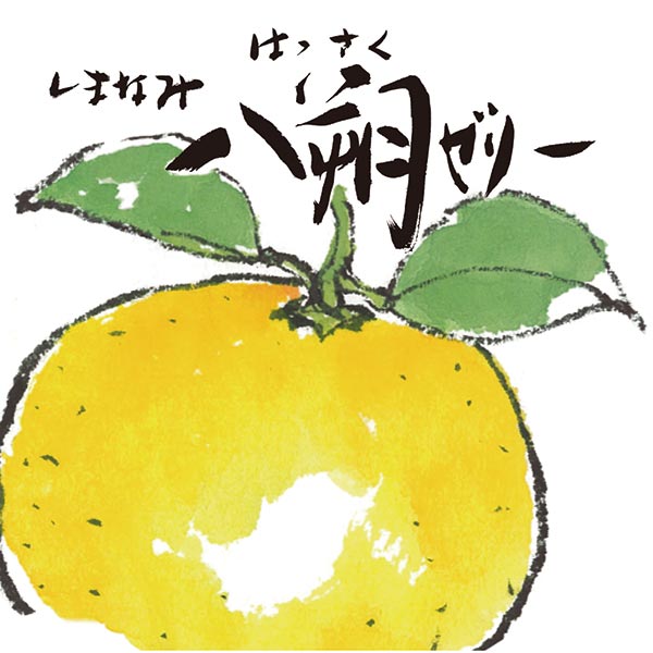 【BEMAC】瀬戸内しまなみ柑橘物語 ゼリー6個入りBHY